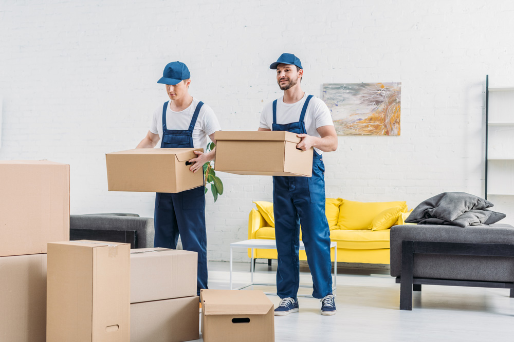 Home - M & D Pro mover